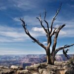 Private Tour to Grand Canyon from Las Vegas with Driver and Guide - Final Thoughts