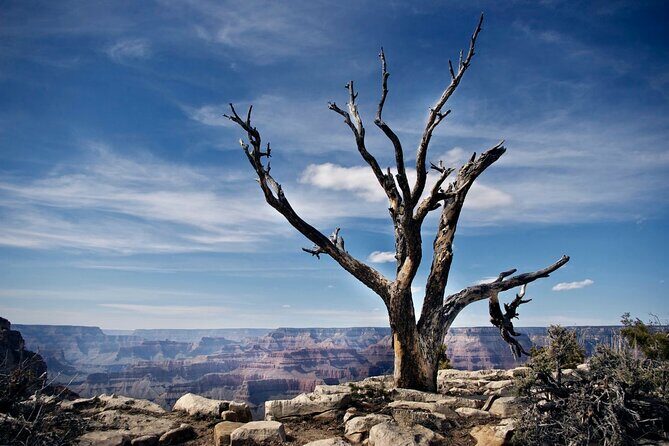 Private Tour to Grand Canyon from Las Vegas with Driver and Guide - Final Thoughts