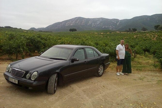 Private tour to marvelous Setúbal, the pearl of Sado - FAQ