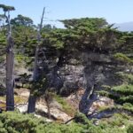 Private Tour to Monterey, Carmel, 17-Mile Drive, Pebble Beach - The Practicalities: What You Need to Know
