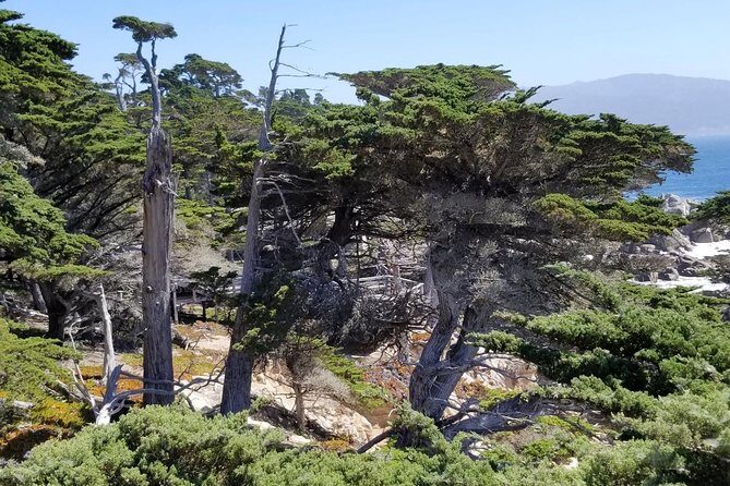 Private Tour to Monterey, Carmel, 17-Mile Drive, Pebble Beach - The Practicalities: What You Need to Know