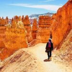 Private Tour to Zion National Park from Las Vegas - Who Should Consider This Tour?