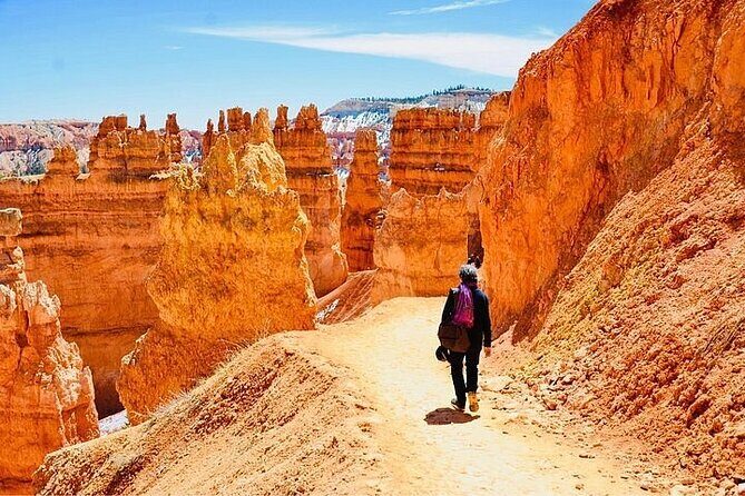 Private Tour to Zion National Park from Las Vegas - Who Should Consider This Tour?