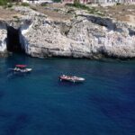 Private tour with fish products and Full Drinks - What Travelers Are Saying