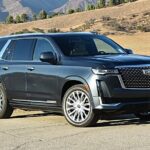 Private Transfer from Honolulu Airport HNL to Waikiki by SUV - Final Thoughts – Who Should Book This?