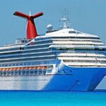 Private Transfer from Hotel in Miami to Port Miami. Up to 11 pax. - Small Details Matter