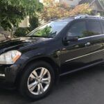 Private Transfer from Lahaina Cruise Port to Maui city hotels - Pricing and Value