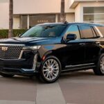 Private Transfer from Newark L Airport EWR to Manhattan by SUV - Key Points