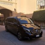 Private transfer from Palermo airport to Palermo city - What makes this transfer a good choice?