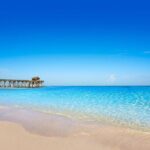Private Transfer in SUV Orlando to Port Canaveral - Why This Transfer Stands Out