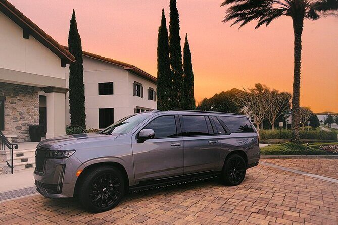 Private Transport: Orlando Airport to Lake Buena Vista Hotels - Who Will This Service Suit Best?