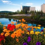 Private Transportation Between Fairbanks and Denali National Park - Considerations and Potential Drawbacks