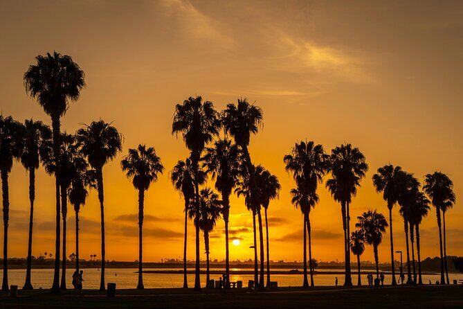 Private Trip Los Angeles, Beverly Hills, Hollywood From Anaheim - Practical Details and What It Means for You
