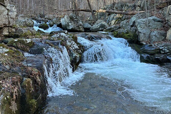 Private Trout Fishing Excursion in Virginia - Who Is This Tour Best For?