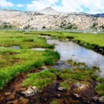 Private Tuolumne Meadows Hiking Tour - Authentic Experiences and Glowing Reviews