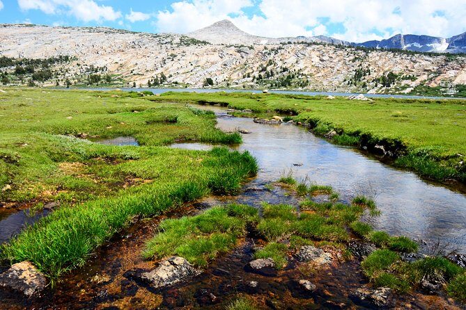Private Tuolumne Meadows Hiking Tour - Authentic Experiences and Glowing Reviews