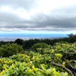 Private Upcountry Farm Tour on Maui - What to Expect from the Experience