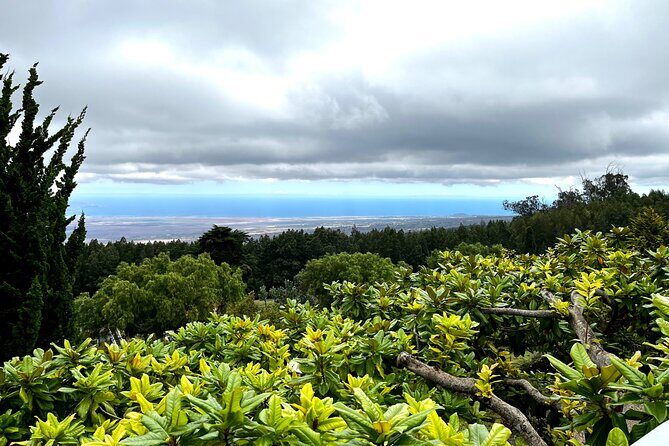 Private Upcountry Farm Tour on Maui - What to Expect from the Experience