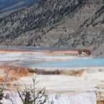 Private Upper Loop Grand Teton, Lower Loop Scenic & Wildlife 3 Day Tours - The Experience and the Value