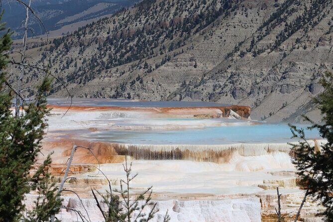 Private Upper Loop Grand Teton, Lower Loop Scenic & Wildlife 3 Day Tours - The Experience and the Value