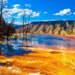Private Upper Loop Tour of Yellowstone National Park - Exploring Yellowstone on a Private Upper Loop Tour
