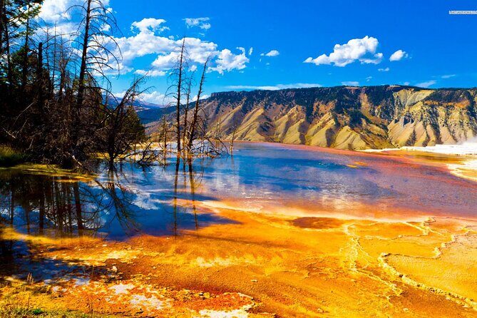 Private Upper Loop Tour of Yellowstone National Park - Exploring Yellowstone on a Private Upper Loop Tour
