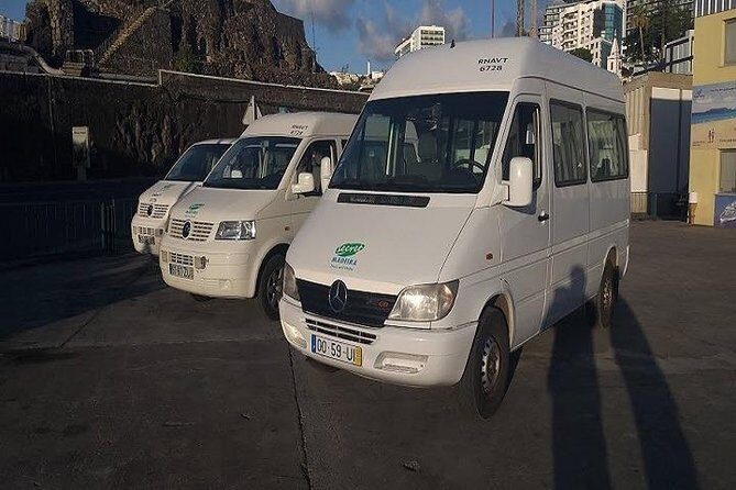 Private VipTours up to 4pax/8pax/19pax - Who Is This Tour Best For?