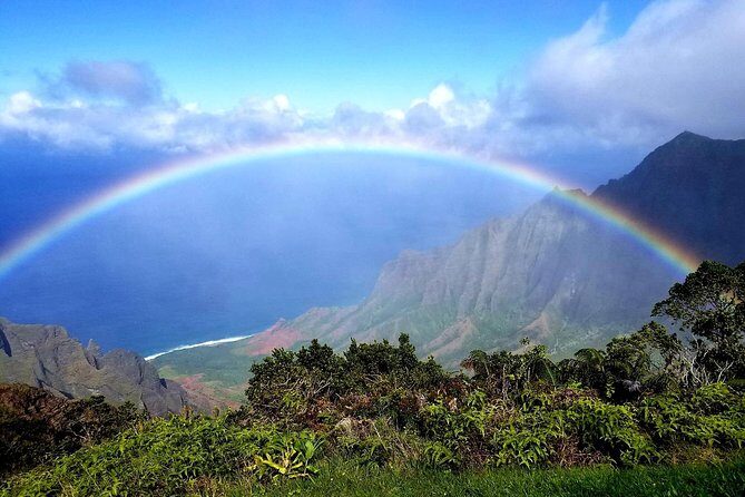 Private Waimea Canyon Tour - Why Travelers Rave About This Tour