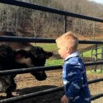 Private Walking Tour of a Real Working Cattle Ranch - Authentic Experiences and Highlights