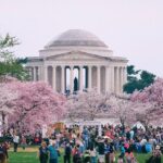 Private Washington DC City Tour - Who Should Book This Tour?