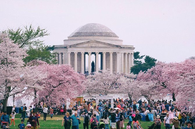 Private Washington DC City Tour - Who Should Book This Tour?
