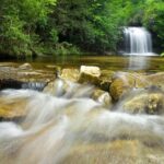 Private Waterfall and Blue Ridge Parkway Tour with a Naturalist - Who Will Love This Tour?