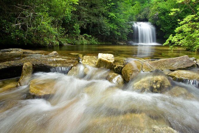 Private Waterfall and Blue Ridge Parkway Tour with a Naturalist - Who Will Love This Tour?