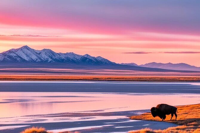 Private Wildlife and Scenic tour on Antelope Island - Experience Details: What You Can Expect