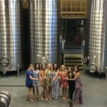 Private Willamette Valley Wine Tour from Portland (All tasting fees included) - The Private Vehicle and Comfort