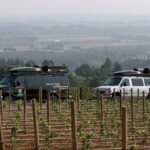 Private - Willamette Valley Wine Tour From Portland (tasting fees included) - The Wineries and Tastings: What Makes Them Special