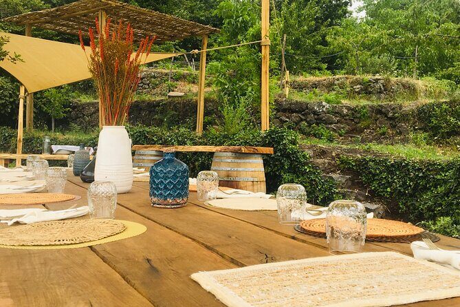 Private Wine and Food Tasting Immersed in Nature in Milo - Who Would Love This Tour?