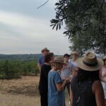 Private Wine & Cava Tasting Tour In Penedes with hotel pick up - What the Tour Entails