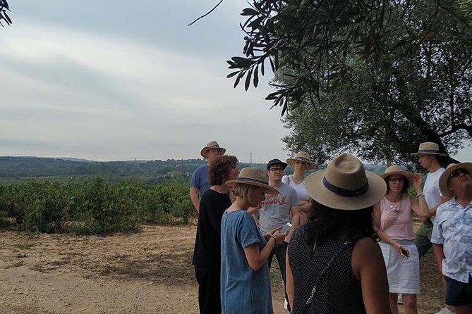 Private Wine & Cava Tasting Tour In Penedes with hotel pick up - What the Tour Entails