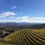 Private Wine Tour from San Francisco to Napa - Actual Experiences and Reviews