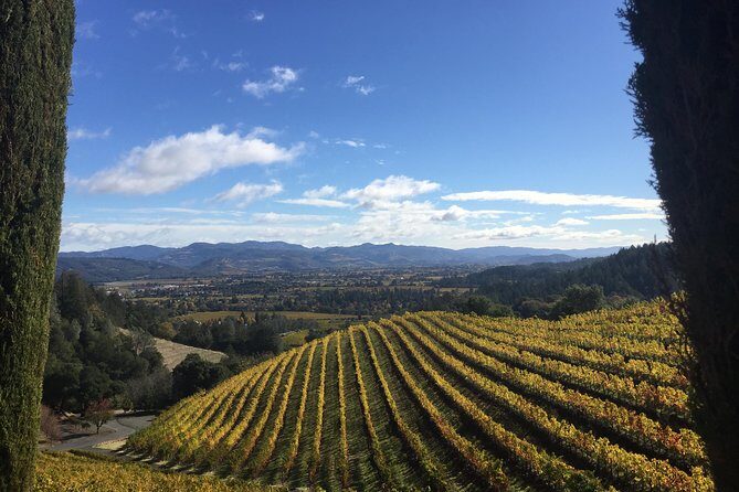 Private Wine Tour from San Francisco to Napa - Actual Experiences and Reviews