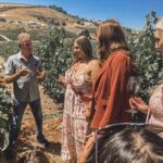 Private Wine Tour in Paso Robles - Final Thoughts: Is It Worth It?