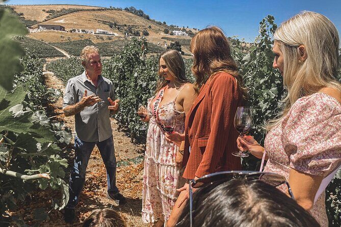Private Wine Tour in Paso Robles - Final Thoughts: Is It Worth It?