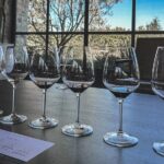 Private Wine Tour in Santa Barbara Wine Country - Is This Tour Worth the Price?