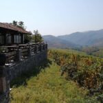 Private Wine Tour of Chateau Sopot Winery from Skopje - What Makes It Stand Out?