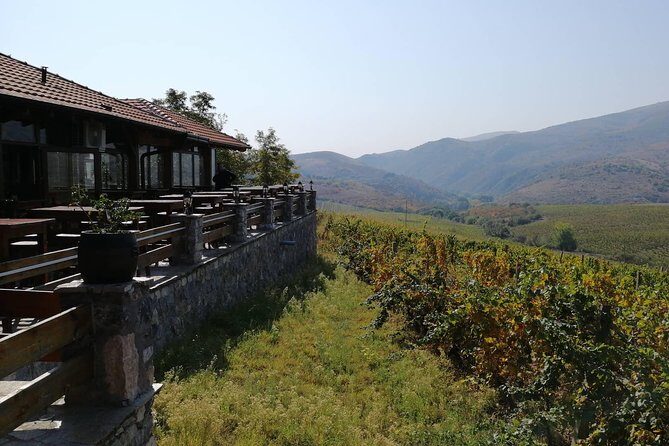 Private Wine Tour of Chateau Sopot Winery from Skopje - What Makes It Stand Out?