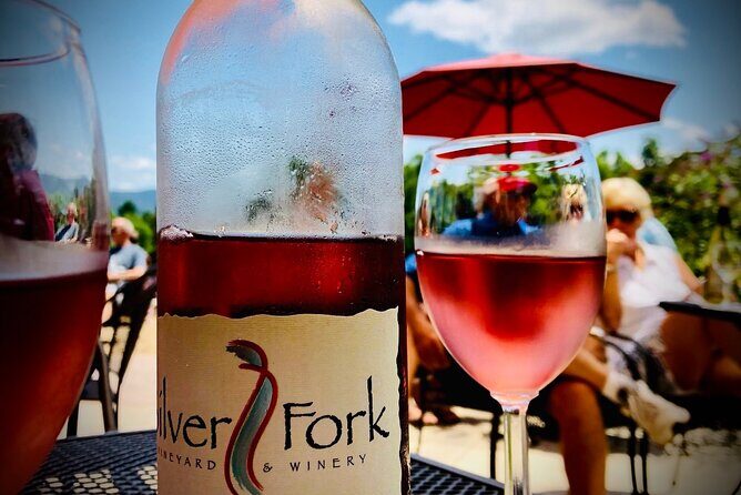 Private Wine Tour with Dine in Black Mountain from Asheville - Who Should Consider This Tour?