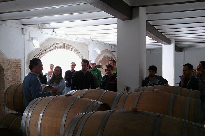 Private Wineries Tour from Valencia (morning tour) - What Sets This Tour Apart?
