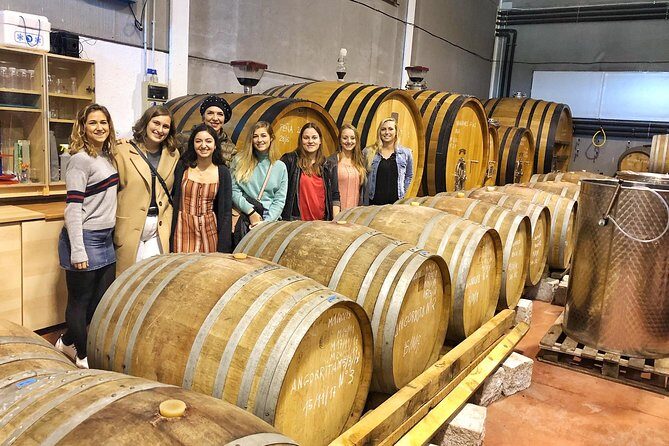 Private Winery Tour near Madrid with Sommelier (6-hour) - The Value of the Tour