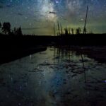 Private Winter Wildlife Tour and Wolves - An In-Depth Look at the Tour